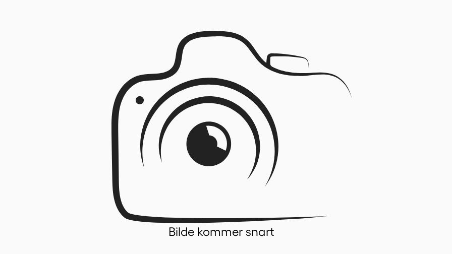 Realforce (ex Adfenix) - Springboard - Nordic Retail & Tech